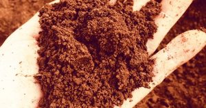 Hướng dẫn phân loại các loại đất trồng cây phổ biến